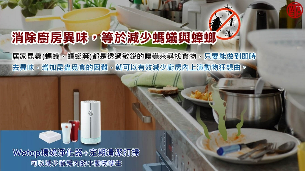 WETOP 健康生活館, 線上商店 | 蝦皮購物