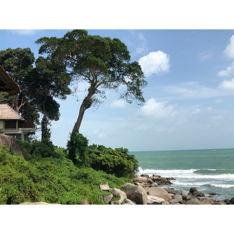 PB_0808, 線上商店 | 蝦皮購物