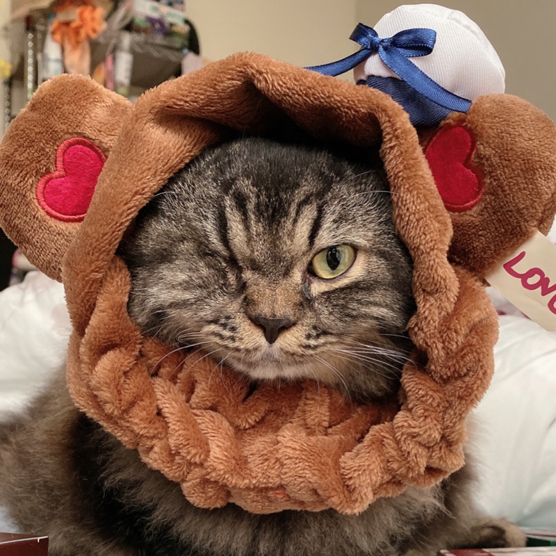 STITYO-cosplay周邊/代購/訂製, 線上商店 | 蝦皮購物