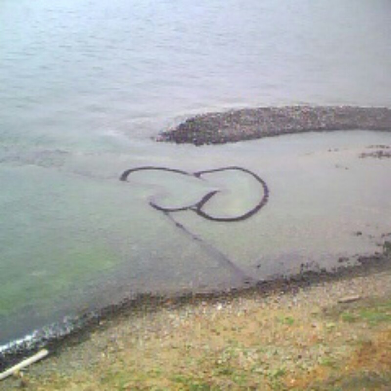 wan_sanll, 線上商店 | 蝦皮購物