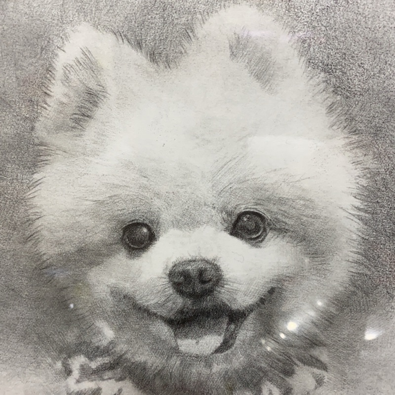 BOLIF寶莉芙原品牌：保利膚、珍妮美娜, 線上商店 | 蝦皮購物