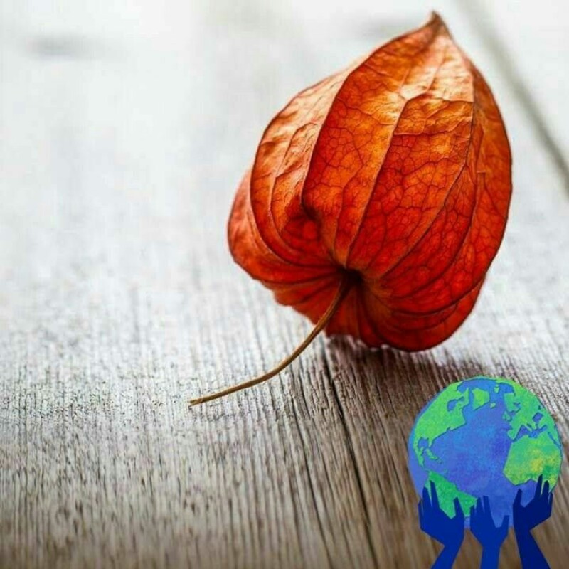 edge_man, 線上商店 | 蝦皮購物