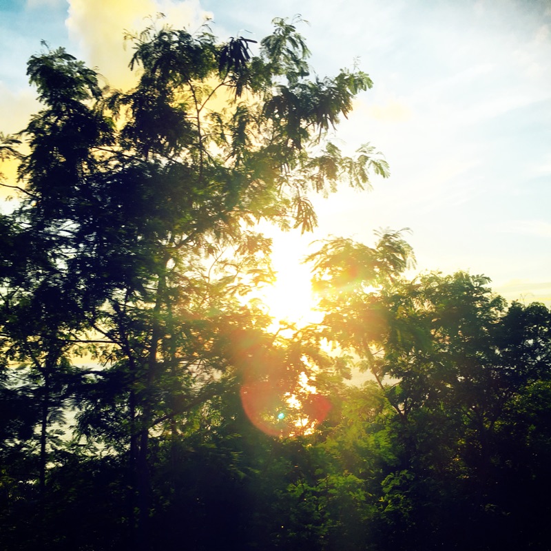 manimo, 線上商店 | 蝦皮購物