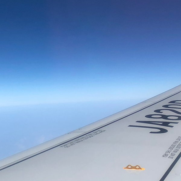 flyheart, 線上商店 | 蝦皮購物