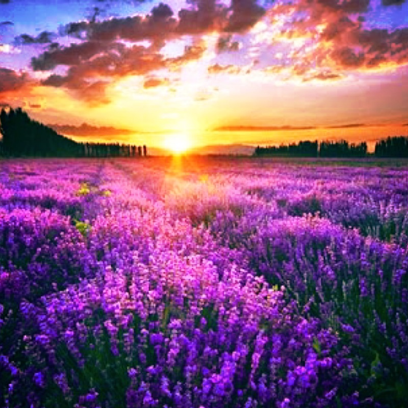 kate_zhan, 線上商店 | 蝦皮購物