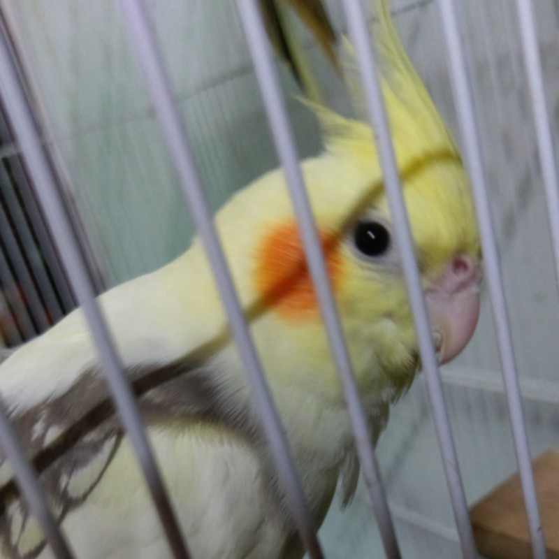 Jack_chung, 線上商店 | 蝦皮購物