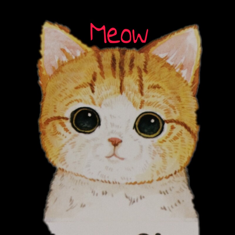 Meow Shop🐾, 線上商店 | 蝦皮購物