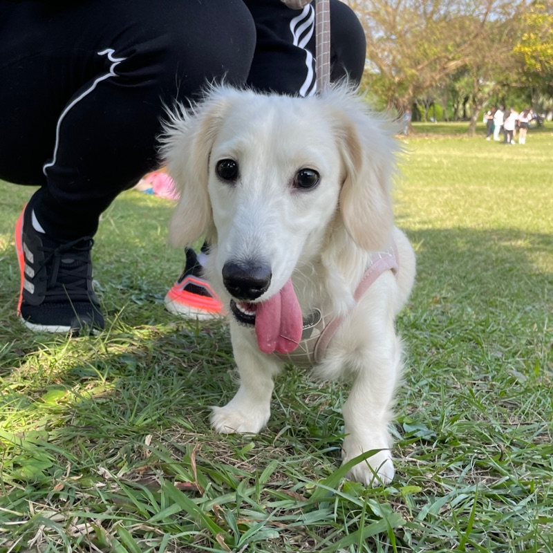 hsin9960730, 線上商店 | 蝦皮購物