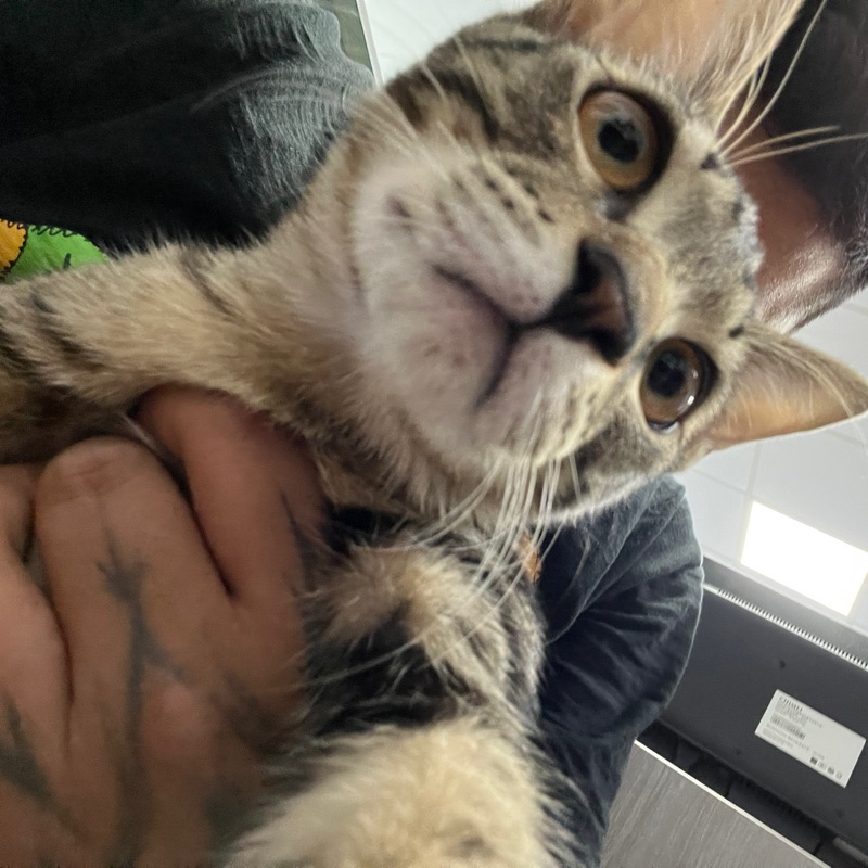 w830408, 線上商店 | 蝦皮購物