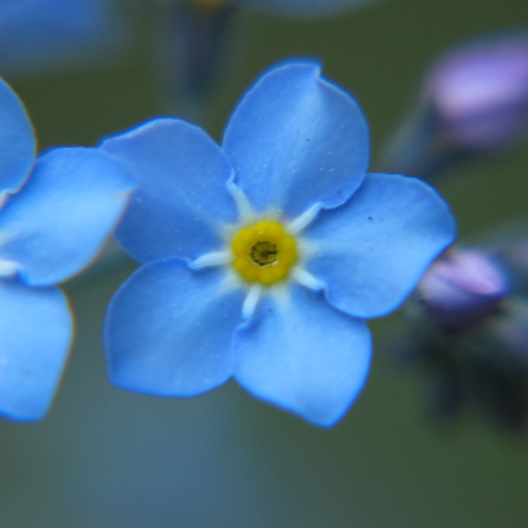 krokro, 線上商店 | 蝦皮購物