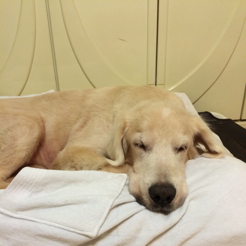 vicky.fan, 線上商店 | 蝦皮購物