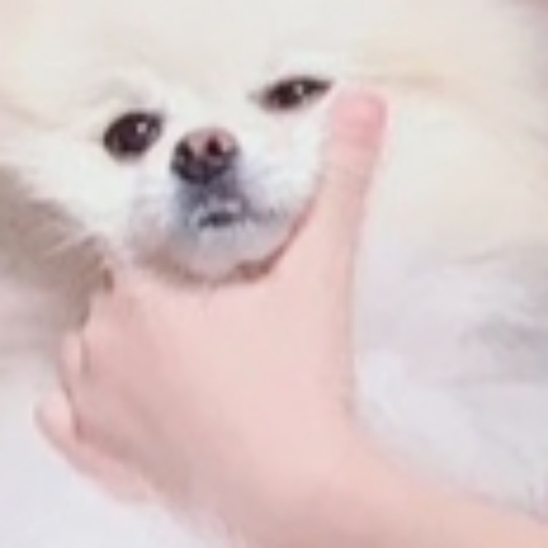 SheenSheen的二手小鋪, 線上商店 | 蝦皮購物