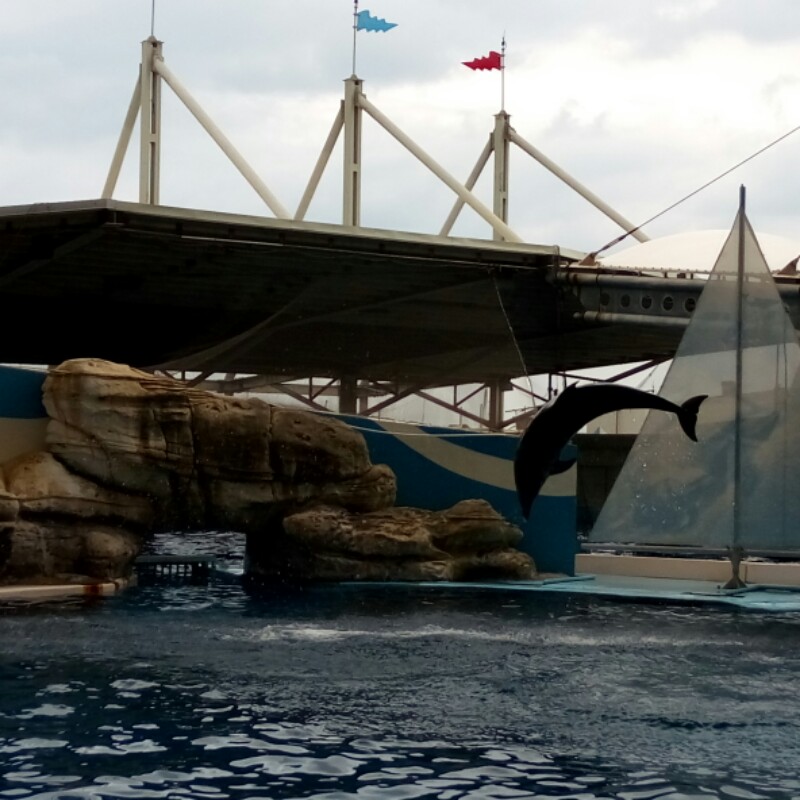 ssszzz, 線上商店 | 蝦皮購物