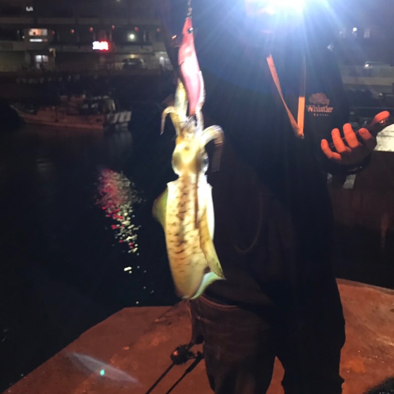 Tool person, 線上商店 | 蝦皮購物