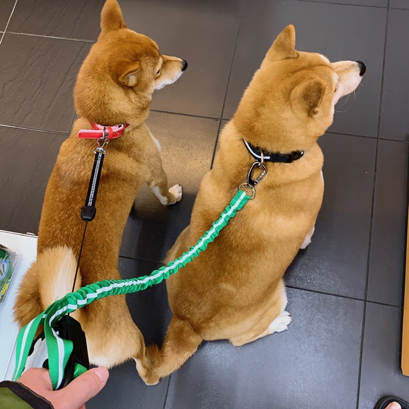 s0748520200, 線上商店 | 蝦皮購物