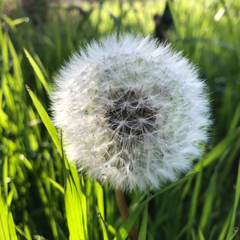 Tequila_Q, 線上商店 | 蝦皮購物