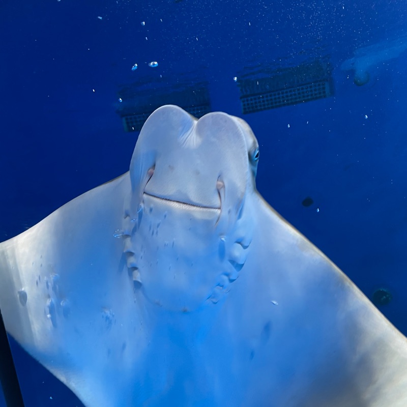 bonnie_sun_0531, 線上商店 | 蝦皮購物