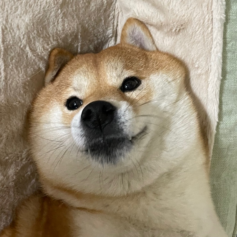 wmmmm, 線上商店 | 蝦皮購物