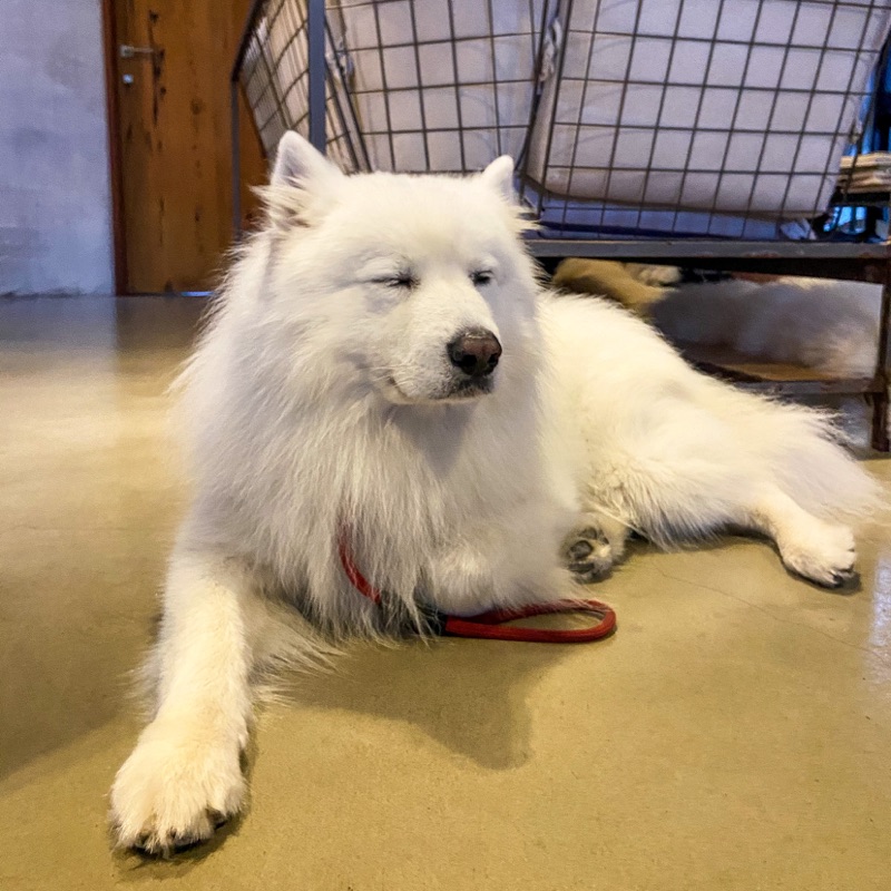 tung_studio, 線上商店 | 蝦皮購物