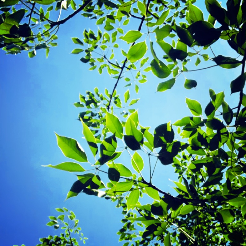 zoe_chang, 線上商店 | 蝦皮購物