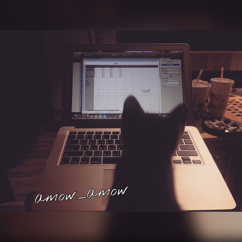 amow_amow, 線上商店 | 蝦皮購物