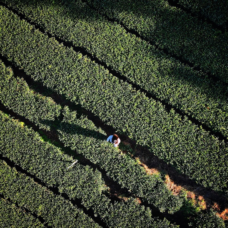 hirab, 線上商店 | 蝦皮購物