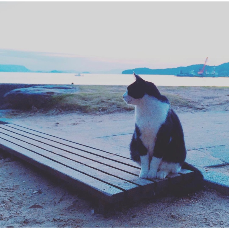 snika, 線上商店 | 蝦皮購物