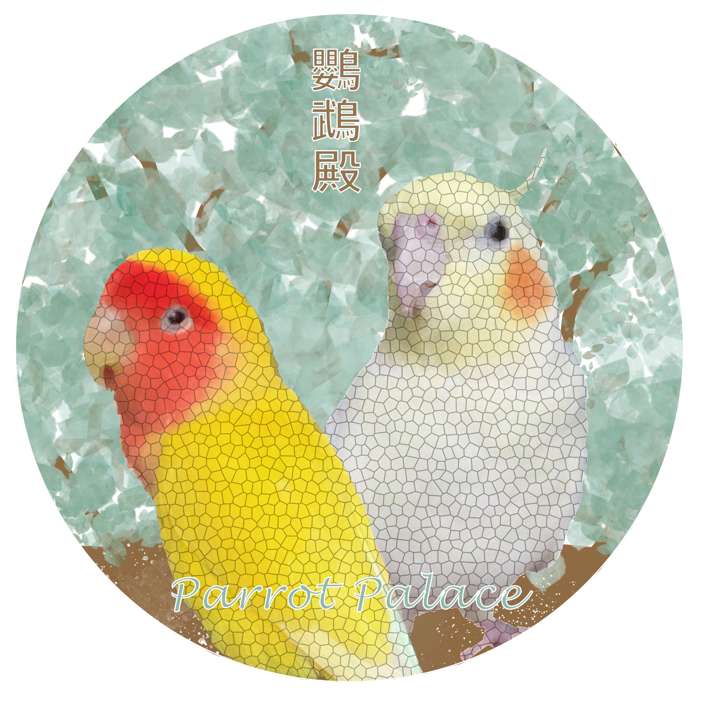 鸚鵡殿 Parrot Palace, 線上商店 | 蝦皮購物