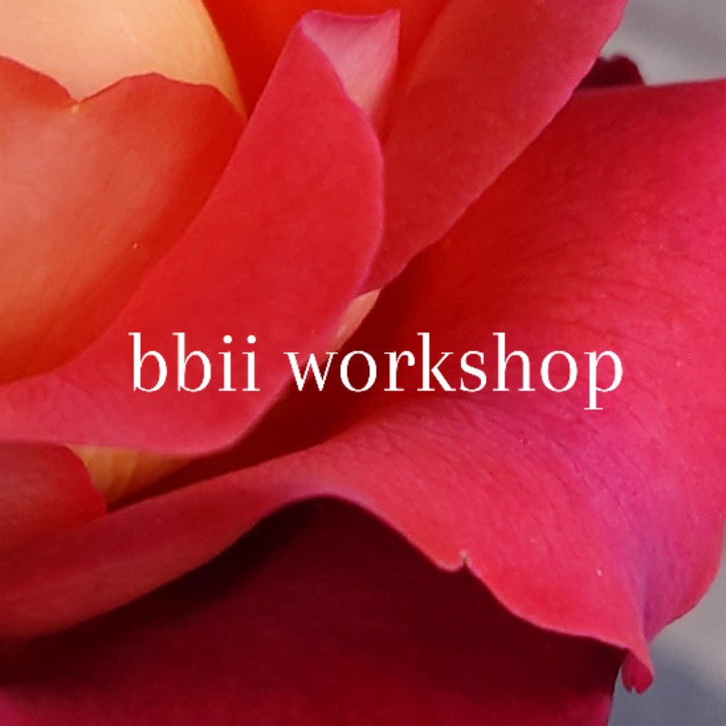 BBii workshop, 線上商店 | 蝦皮購物