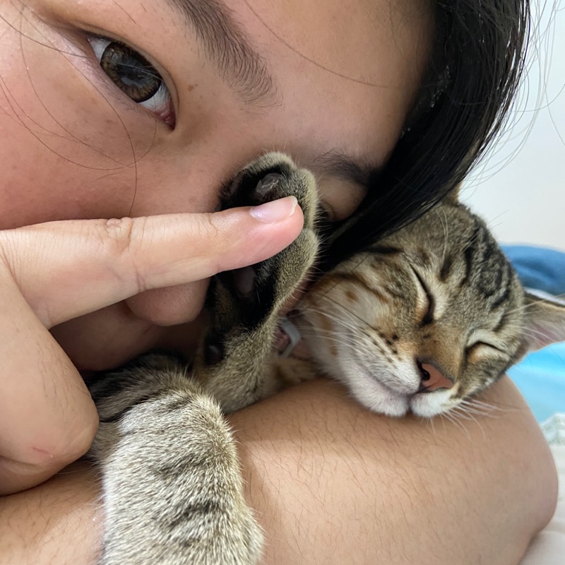 pei_ching_, 線上商店 | 蝦皮購物
