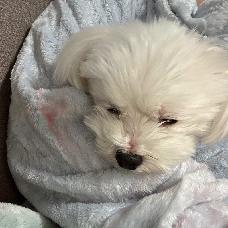 pwu666598, 線上商店 | 蝦皮購物