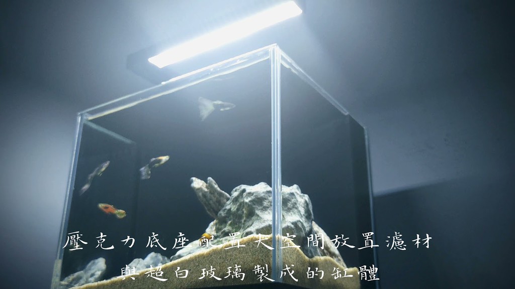 CHE FANG AQUA, 線上商店 | 蝦皮購物