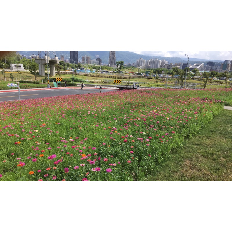 slythe, 線上商店 | 蝦皮購物