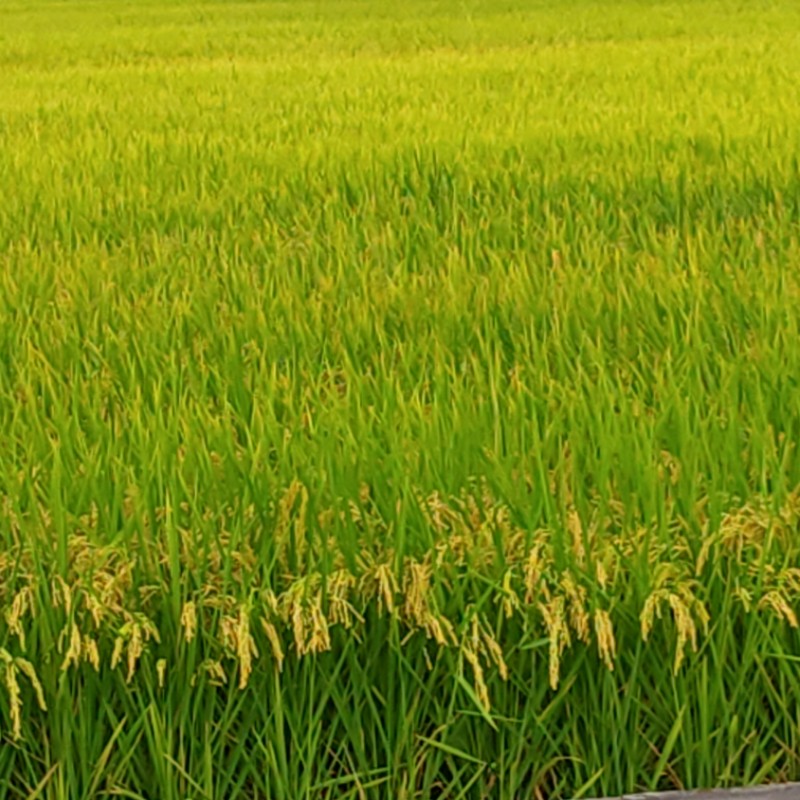 TIM House, 線上商店 | 蝦皮購物