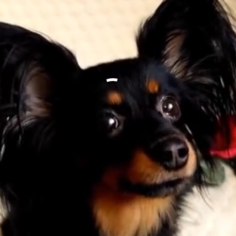 Howzi 2011, 線上商店 | 蝦皮購物