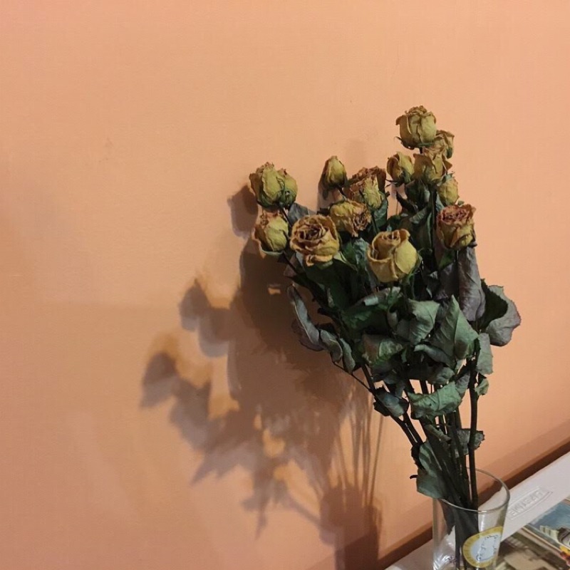 little_orange_house, 線上商店 | 蝦皮購物