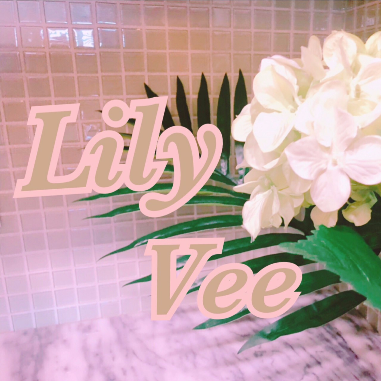 Lily Vee, 線上商店 | 蝦皮購物