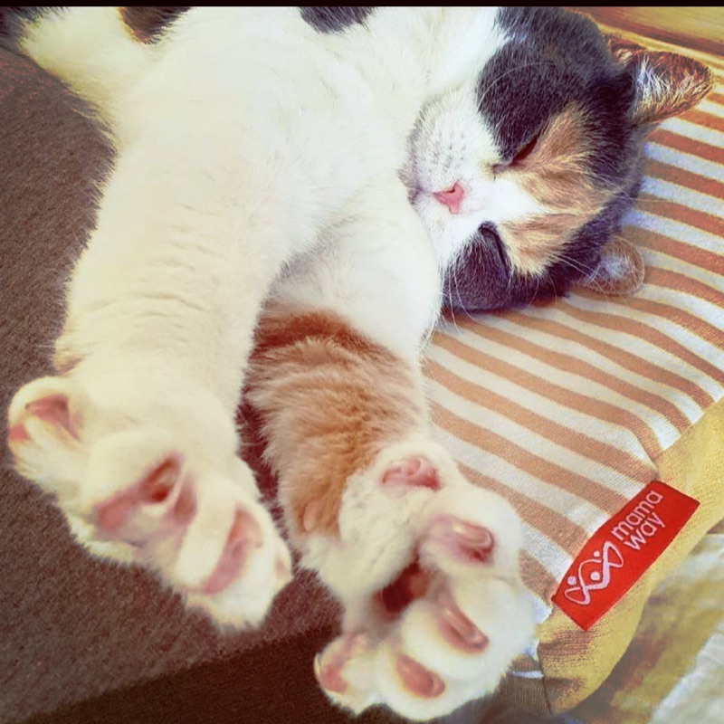 mars_liu, 線上商店 | 蝦皮購物