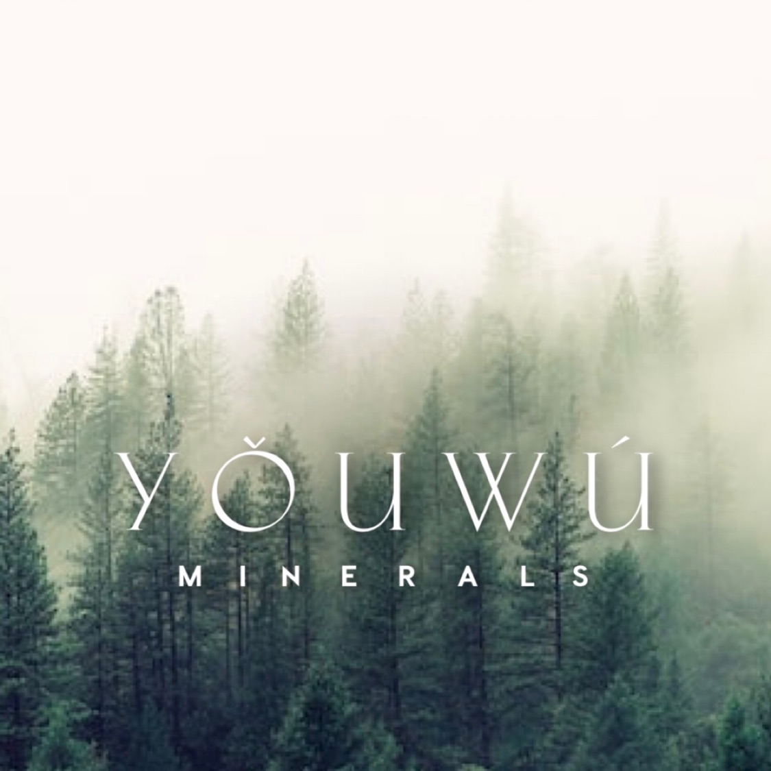 youwu_minerals 礦石 水晶 打磨 專賣, 線上商店 | 蝦皮購物