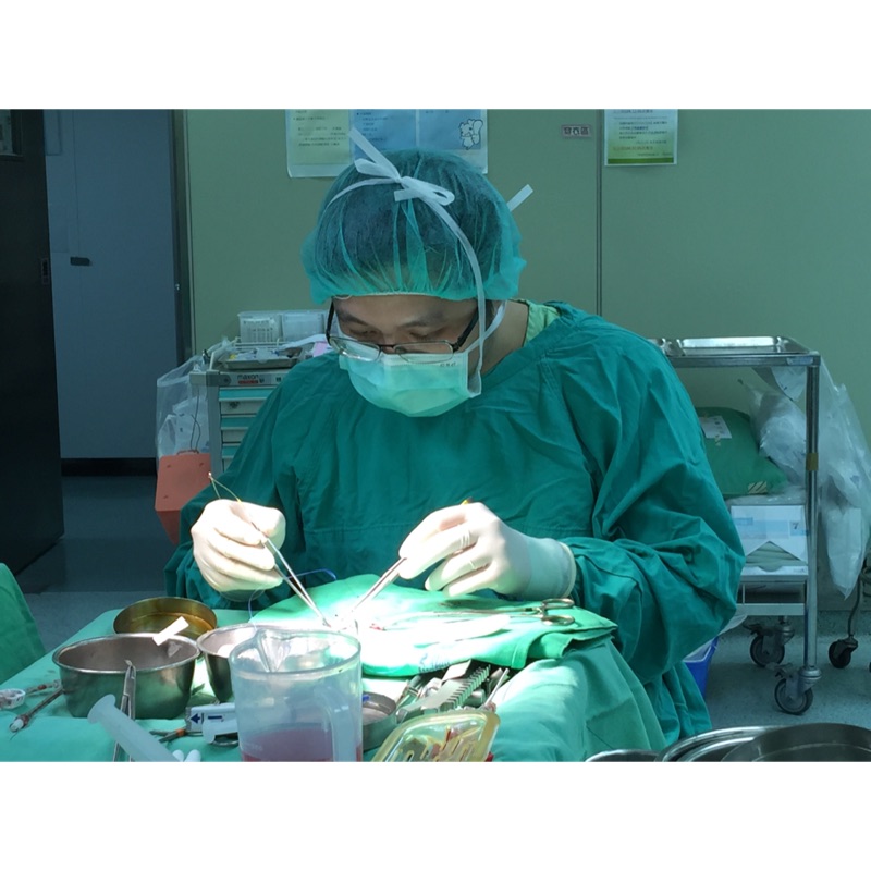 domolin, 線上商店 | 蝦皮購物