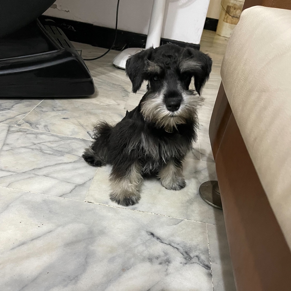 u24062325, 線上商店 | 蝦皮購物