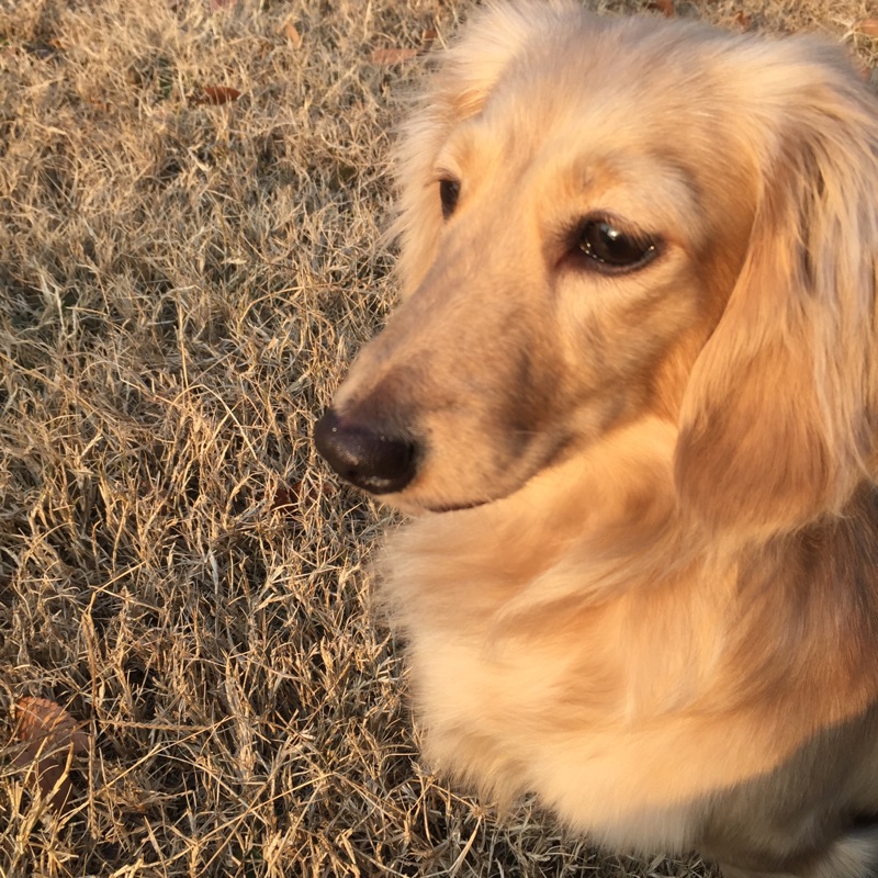 eileen_chan, 線上商店 | 蝦皮購物