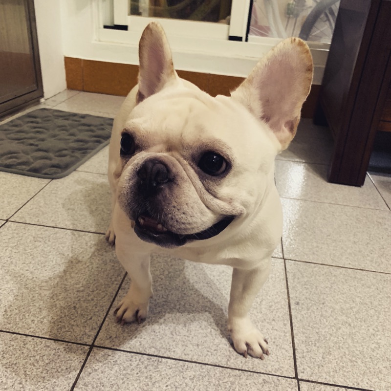 s0986865720, 線上商店 | 蝦皮購物