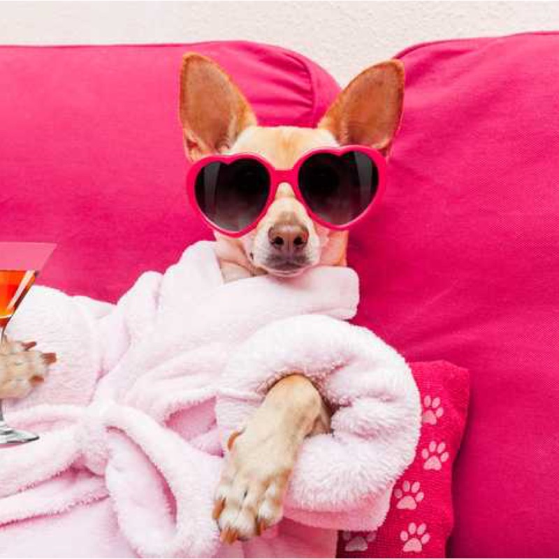 hypester, 線上商店 | 蝦皮購物