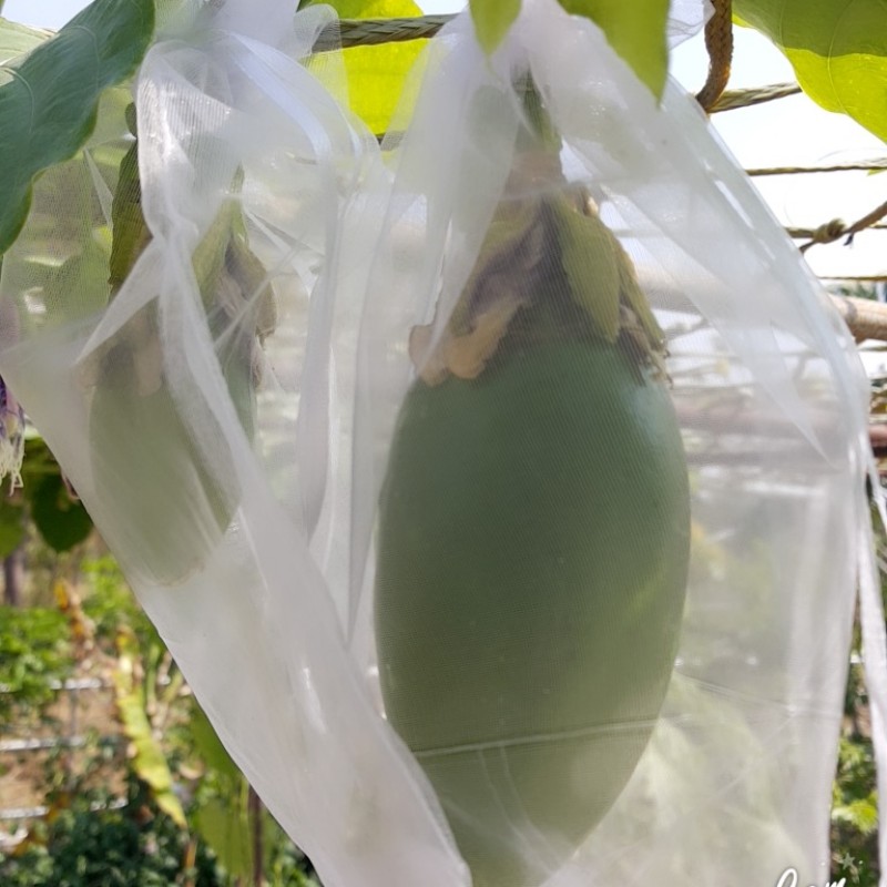 jadsu, 線上商店 | 蝦皮購物