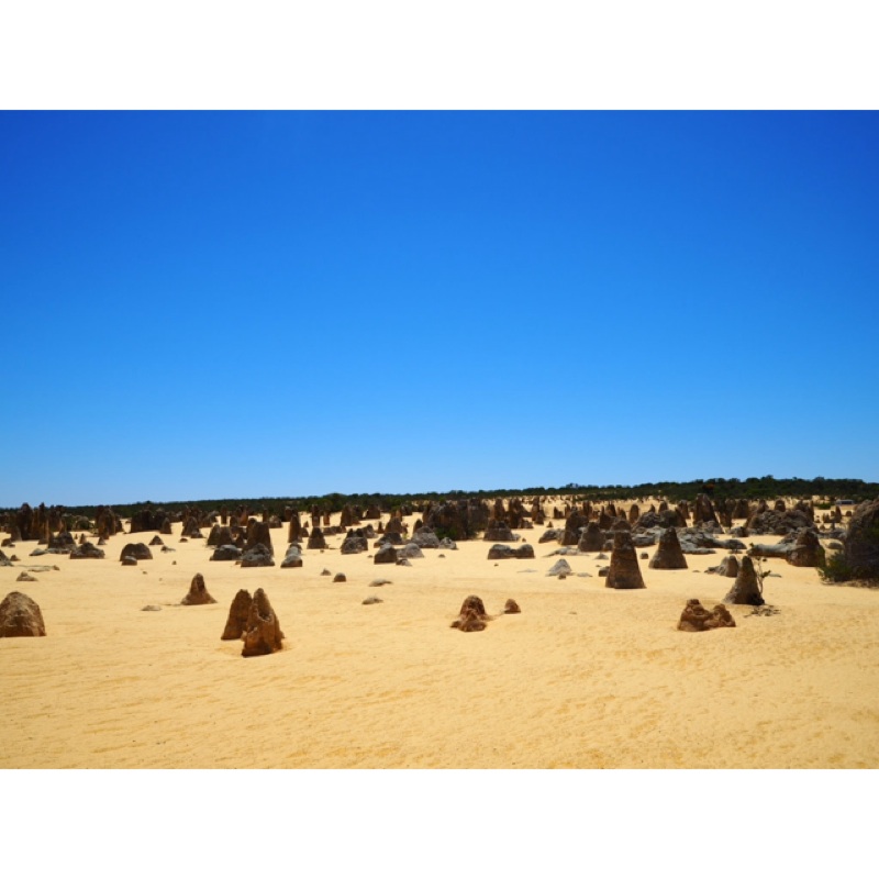 Ms. Chen & Lin, 線上商店 | 蝦皮購物