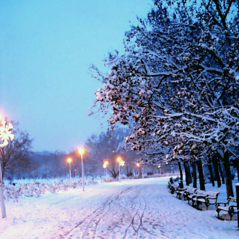 Lydia_Feng, 線上商店 | 蝦皮購物