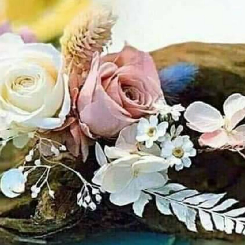 maguya, 線上商店 | 蝦皮購物