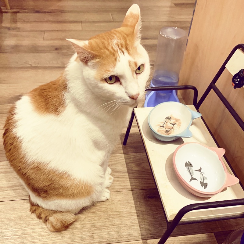 wirklich, 線上商店 | 蝦皮購物