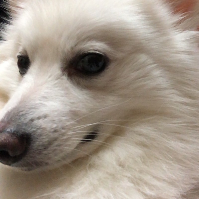 sandy_girl, 線上商店 | 蝦皮購物